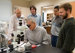 Photo Gallery | William C. and Ruth Ann Dewel Microscopy Facility